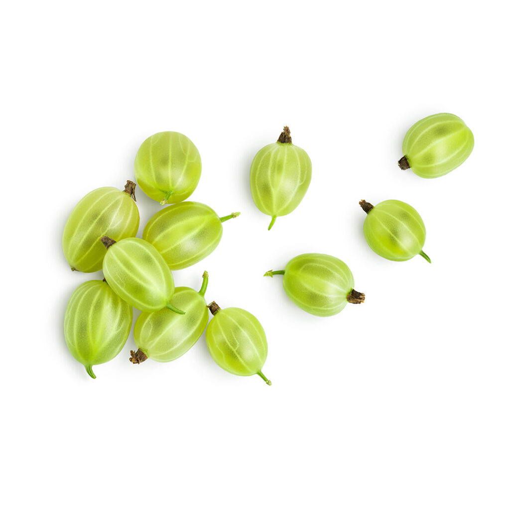 Gooseberry fool - T&L Syrups